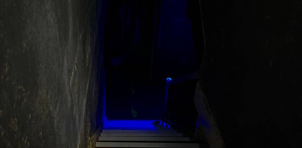 Step Inside Mary Shelley's House of Frankenstein After Dark Horror ...